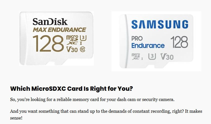 Samsung PRO Endurance vs. SanDisk MAX Endurance (MicroSDXC)